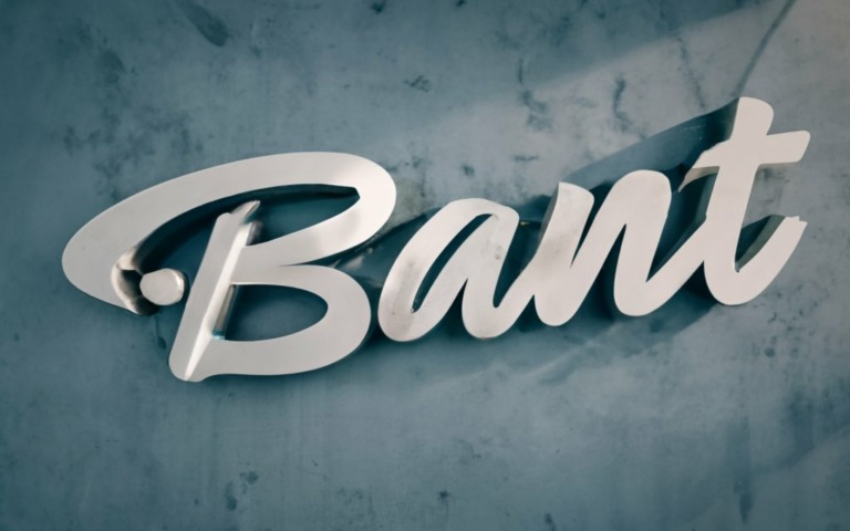 The Complete Guide to Using the BANT Framework for Sales Lead ...