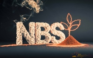 Decoding Common Texting Abbreviations: NBS, JS, JSP, and More ...