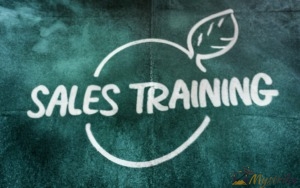 37 Interactive Sales Training Ideas to Motivate Your Team - Mystrika ...
